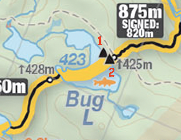 Bug Lake – All of Algonquin