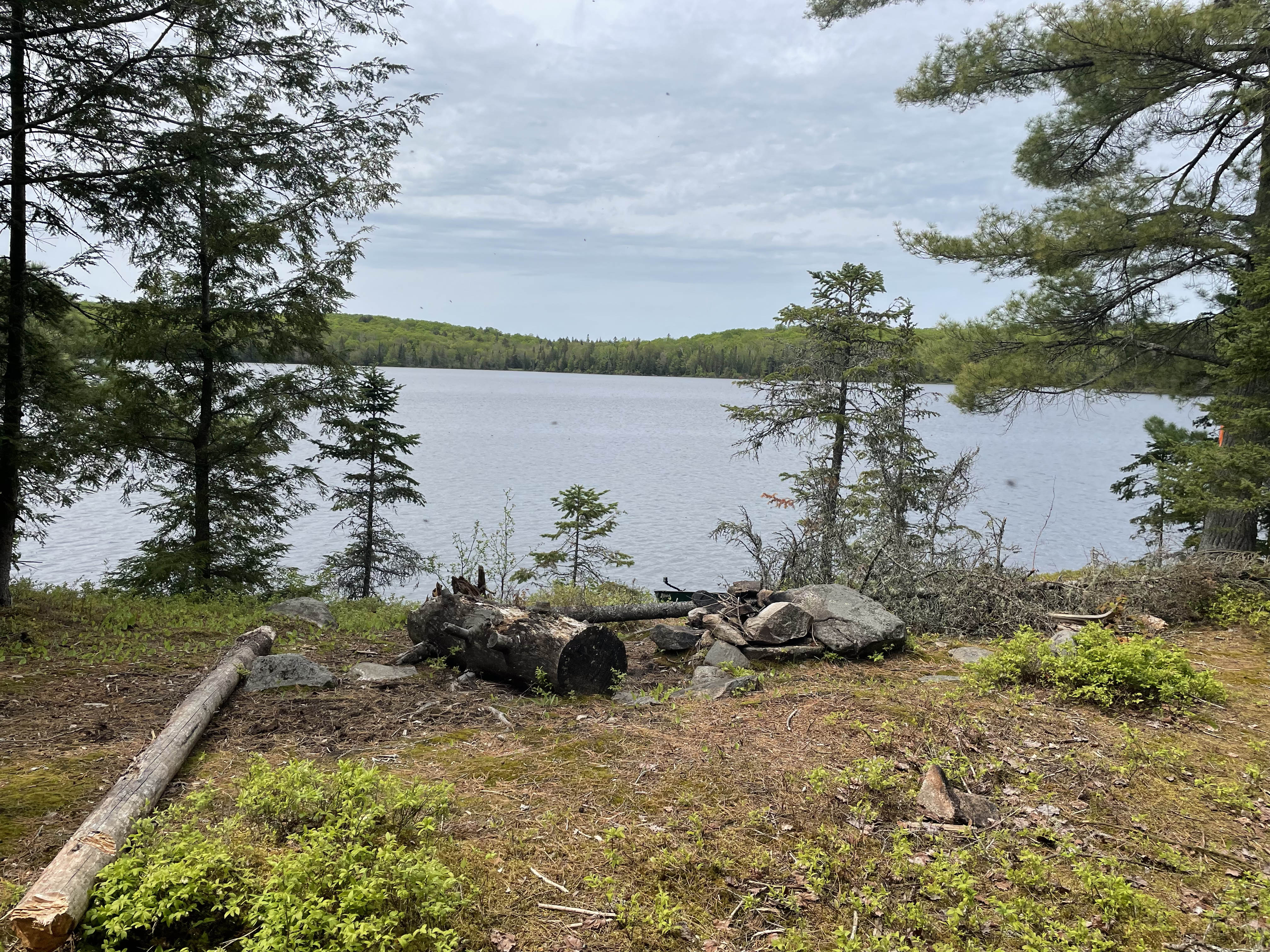 Shad Lake – Site Two – Site View – All of Algonquin