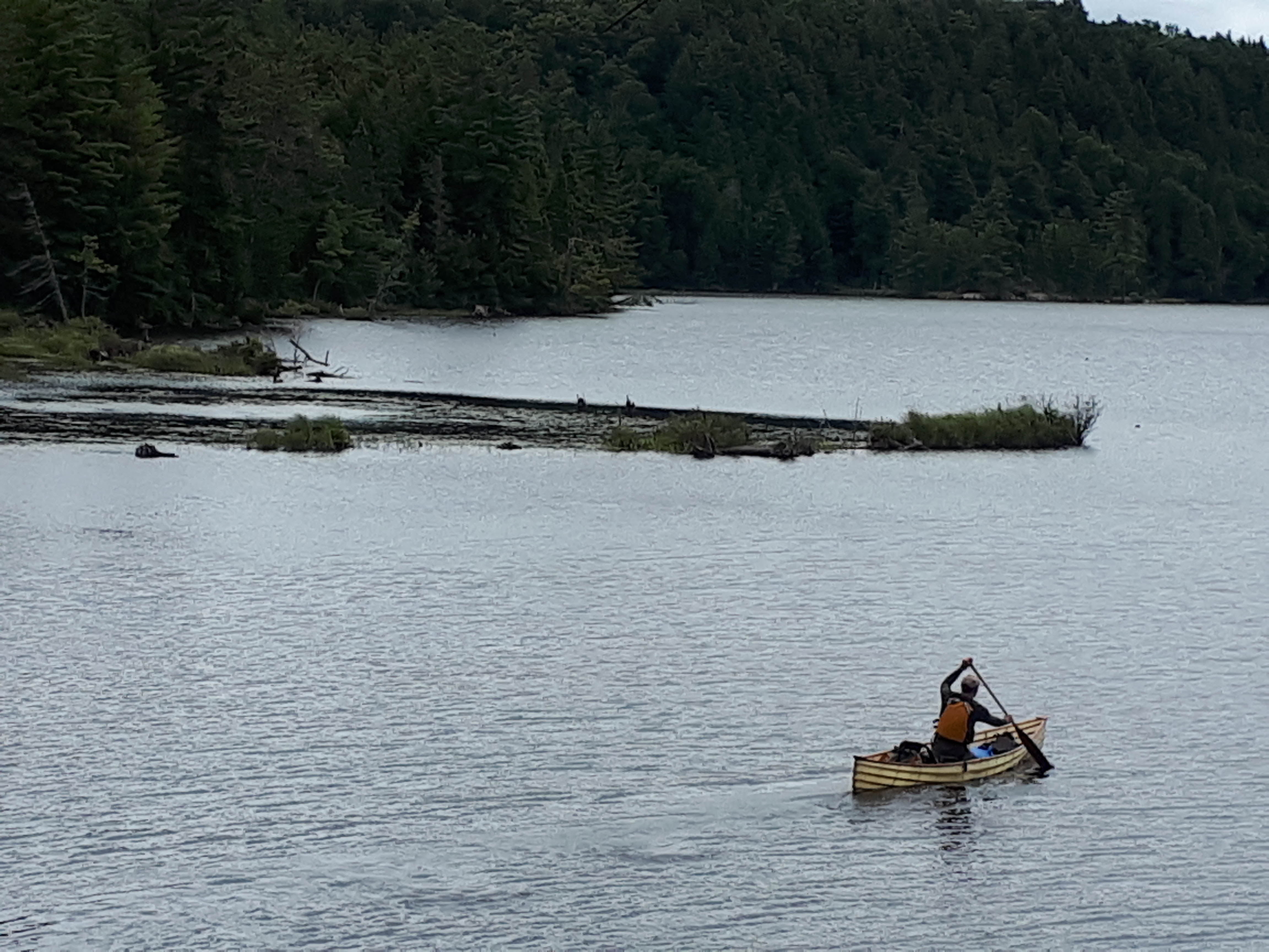 Paddling away on Tim Lake – All of Algonquin