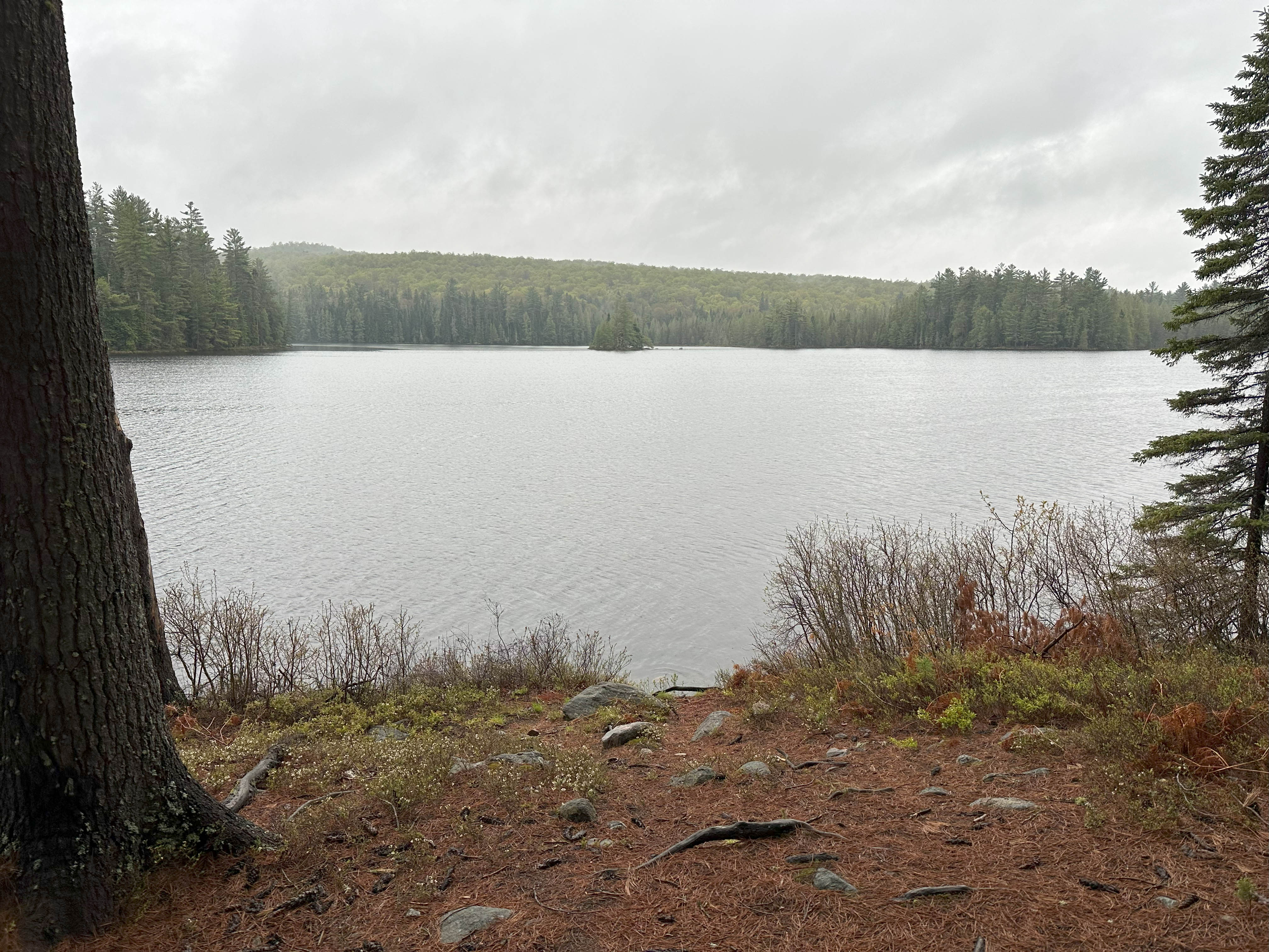 Skuce Lake – Site 2 – All of Algonquin