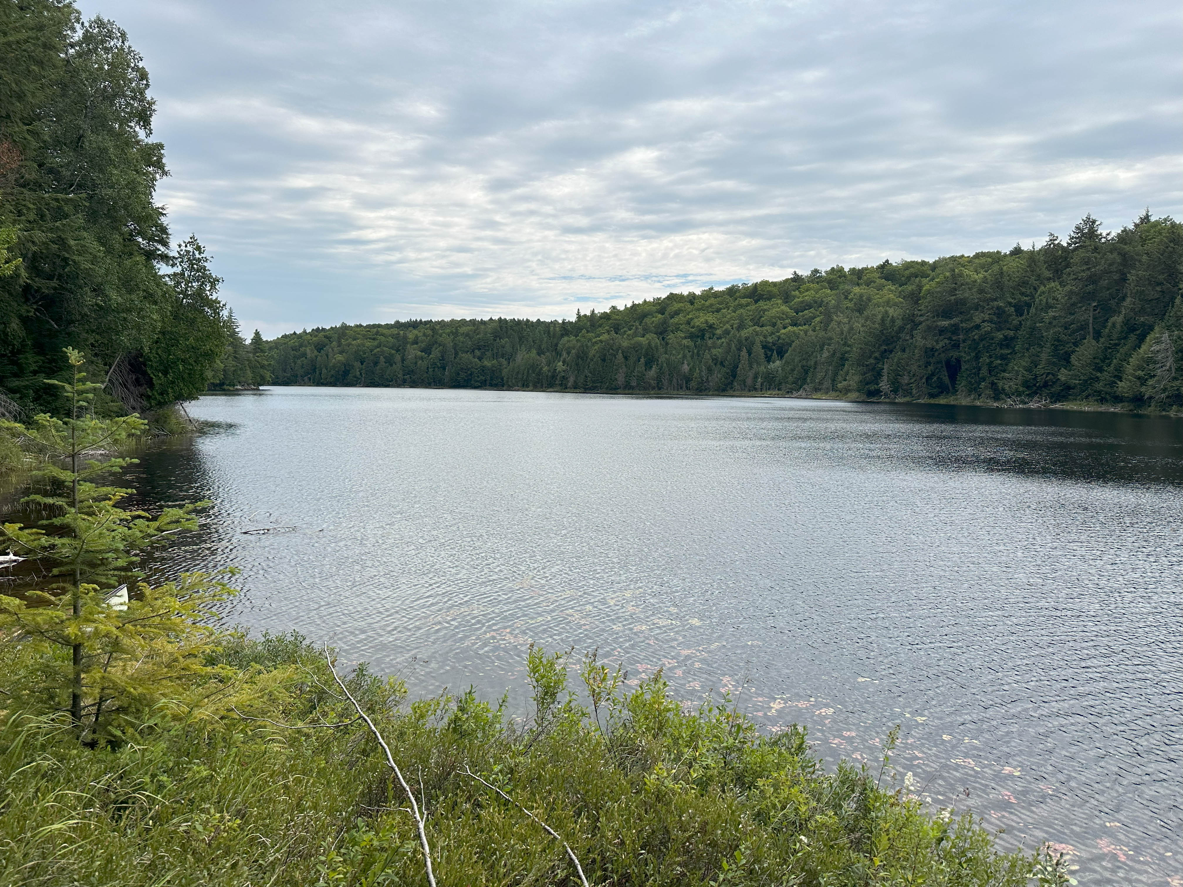 Lawrence Lake – Site 2 – View – All of Algonquin
