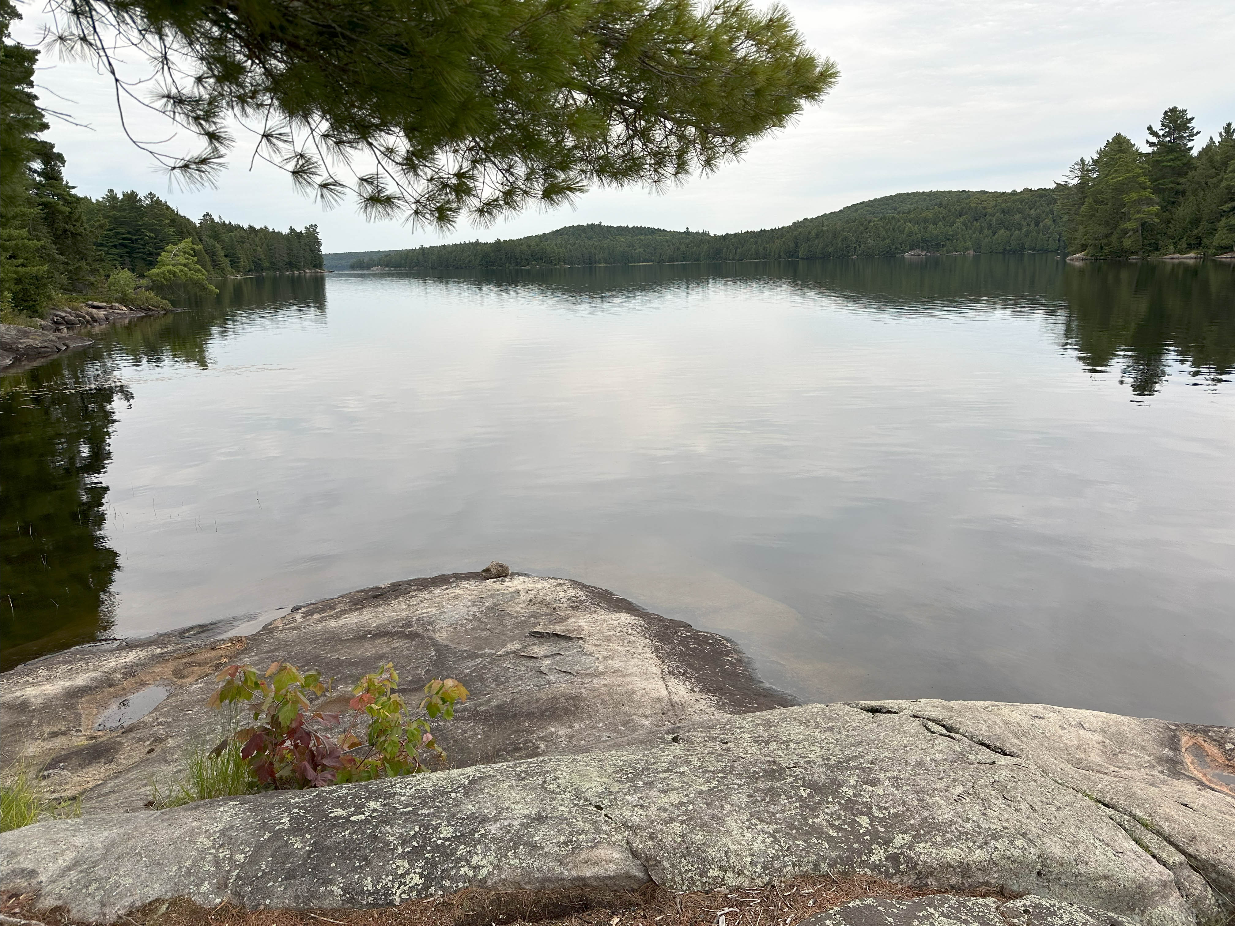 Lake Louisa – Site 20 – East View – All of Algonquin
