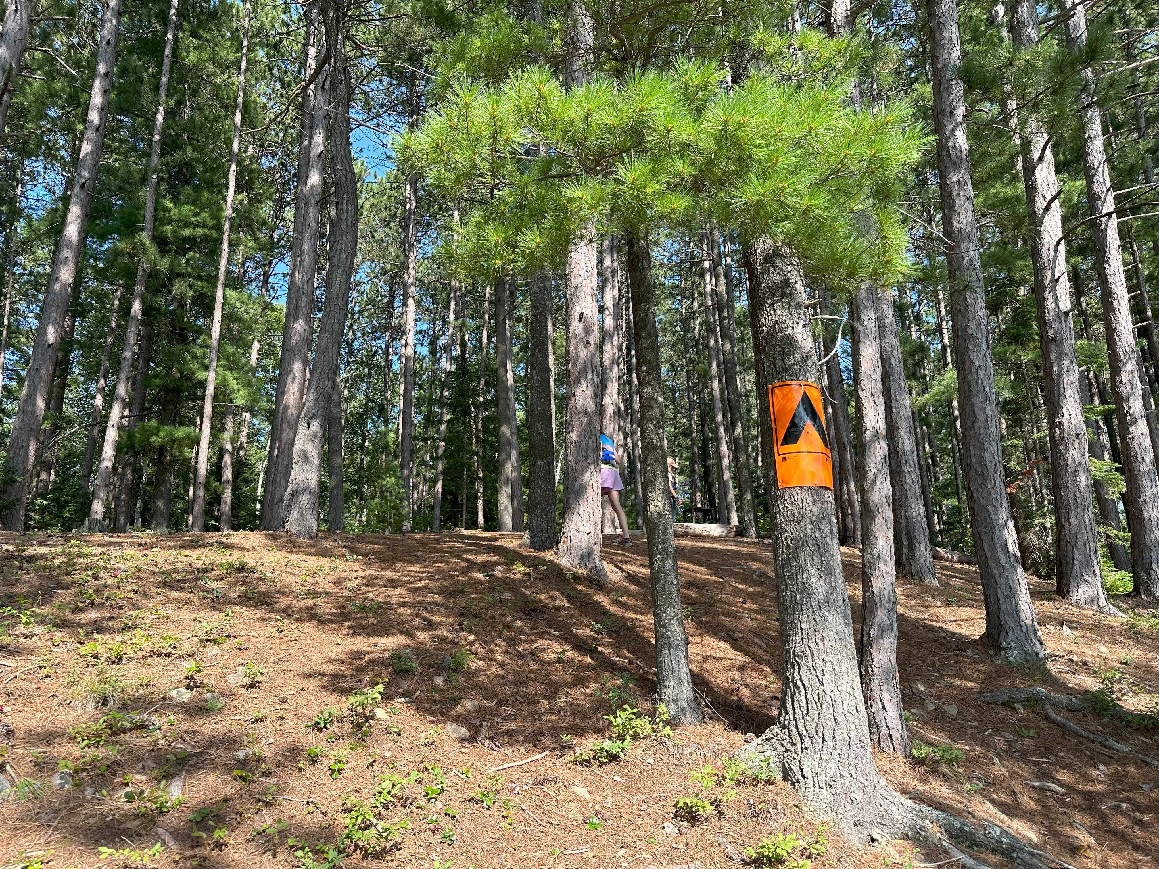 Ryan Lake – Site 9 – Campsite Sign – All of Algonquin