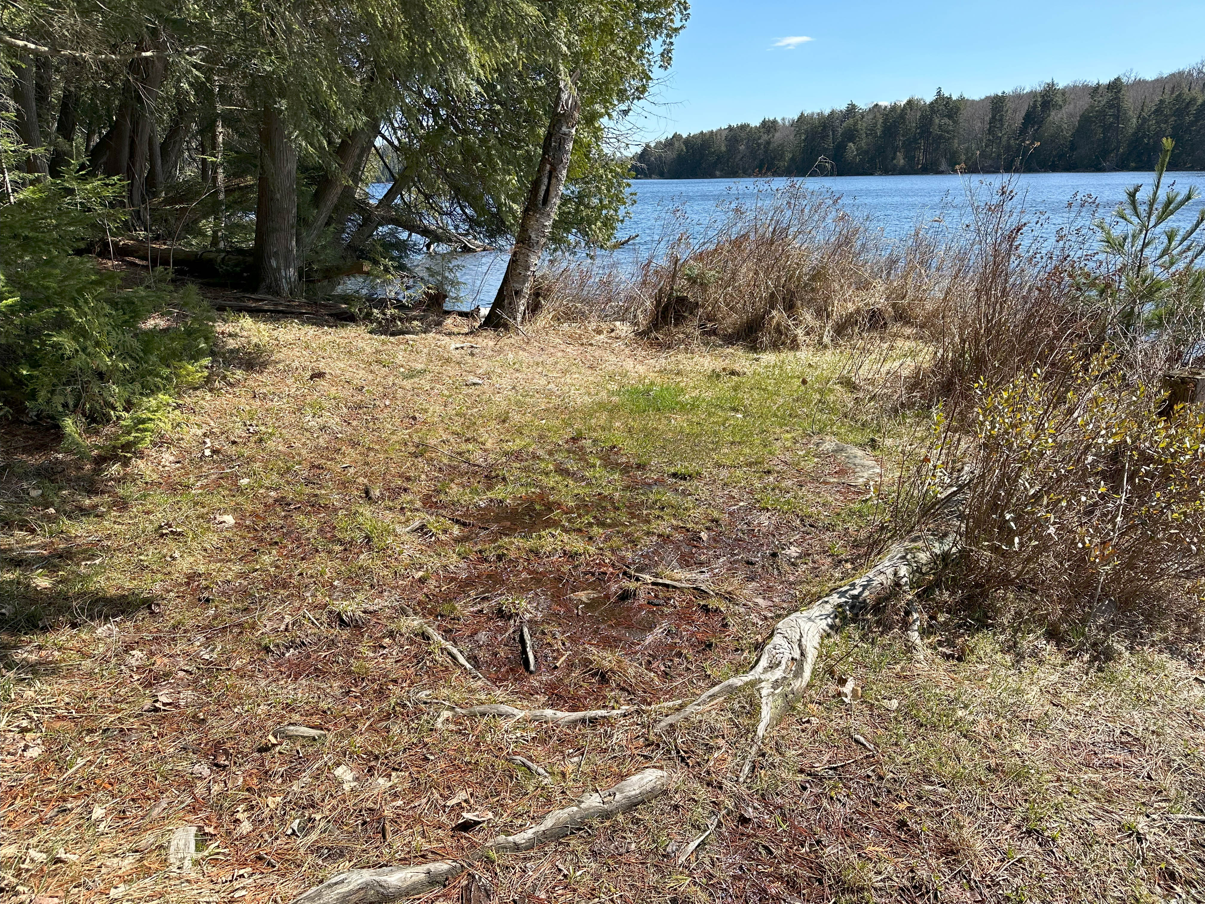 Kingscote Lake – Site 8 – Soggy Tent Pad – All of Algonquin
