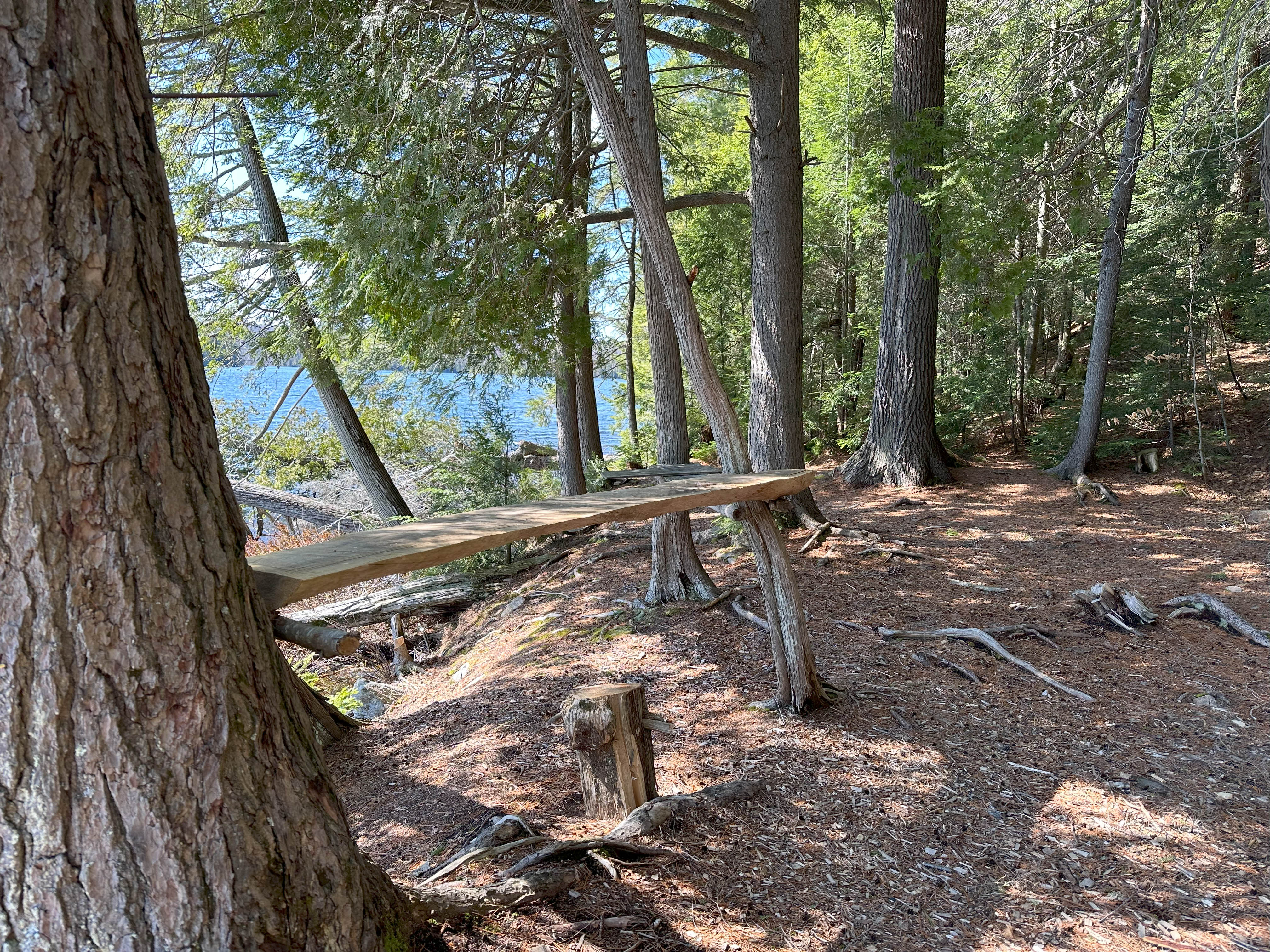 Kingscote Lake – Site 9 – Counter – All of Algonquin