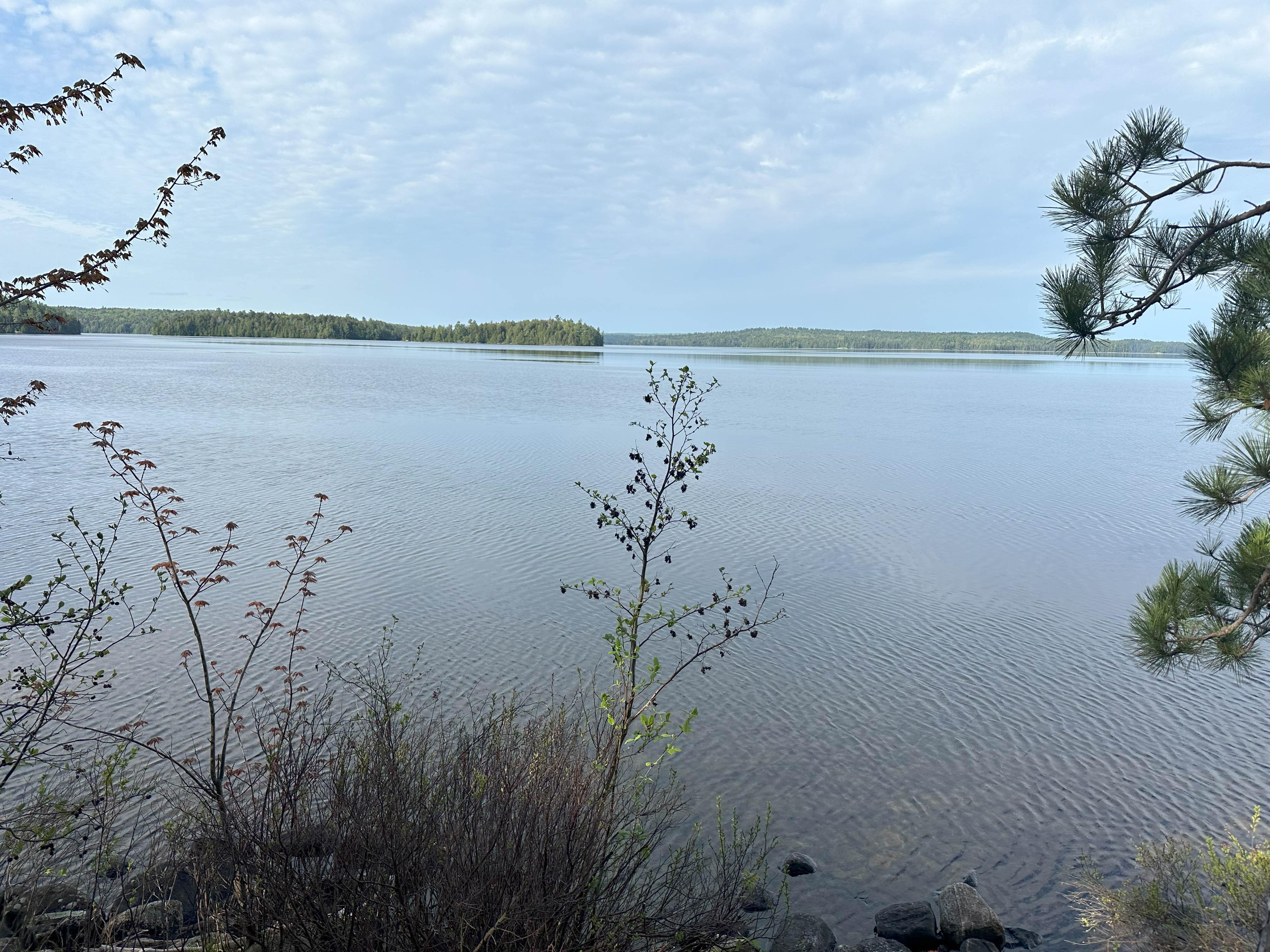 Lake Lavielle – Site 6 – Hayes Point – View – All of Algonquin