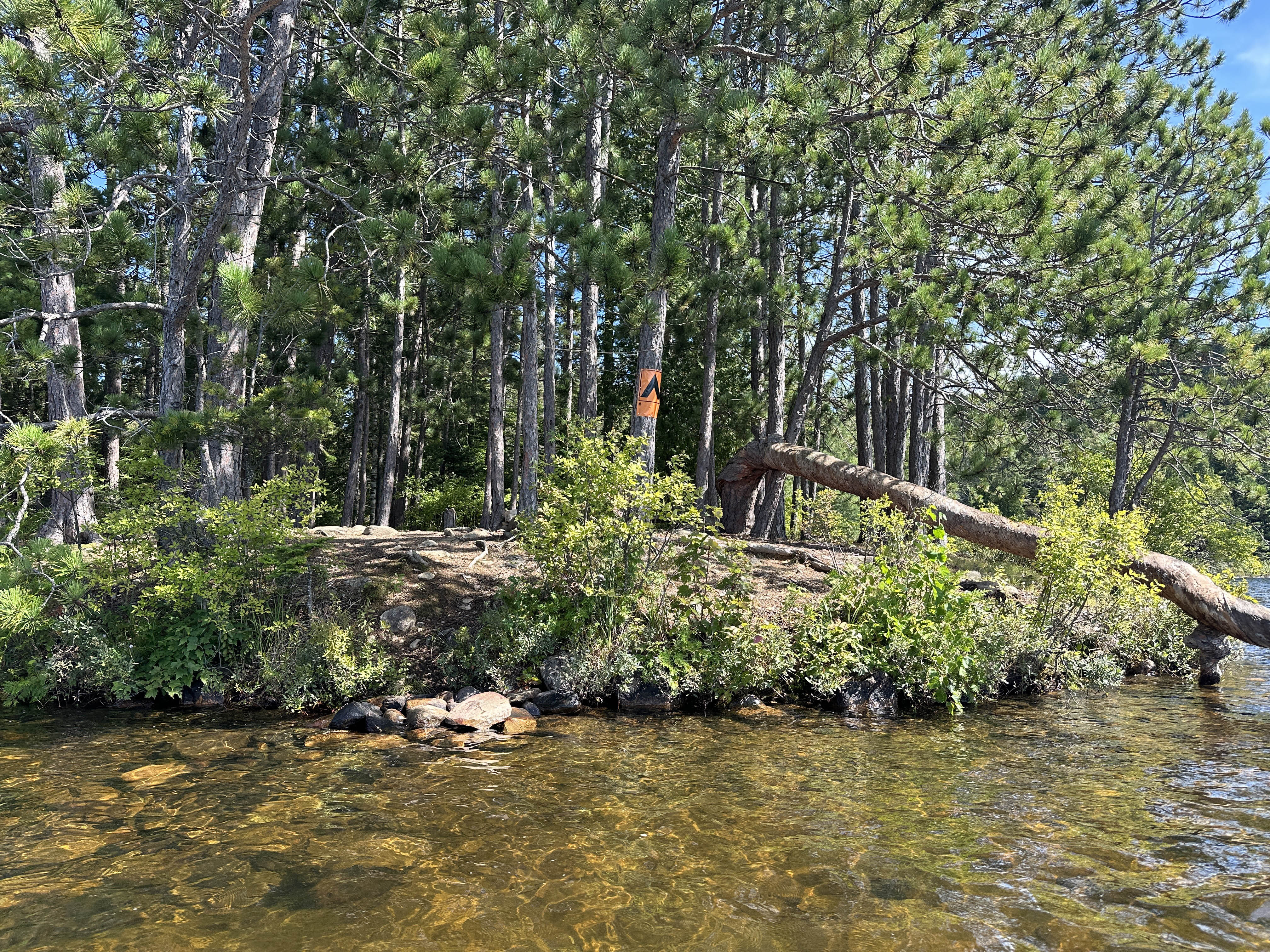 Godda Lake – Site 1 – View from the Water – All of Algonquin