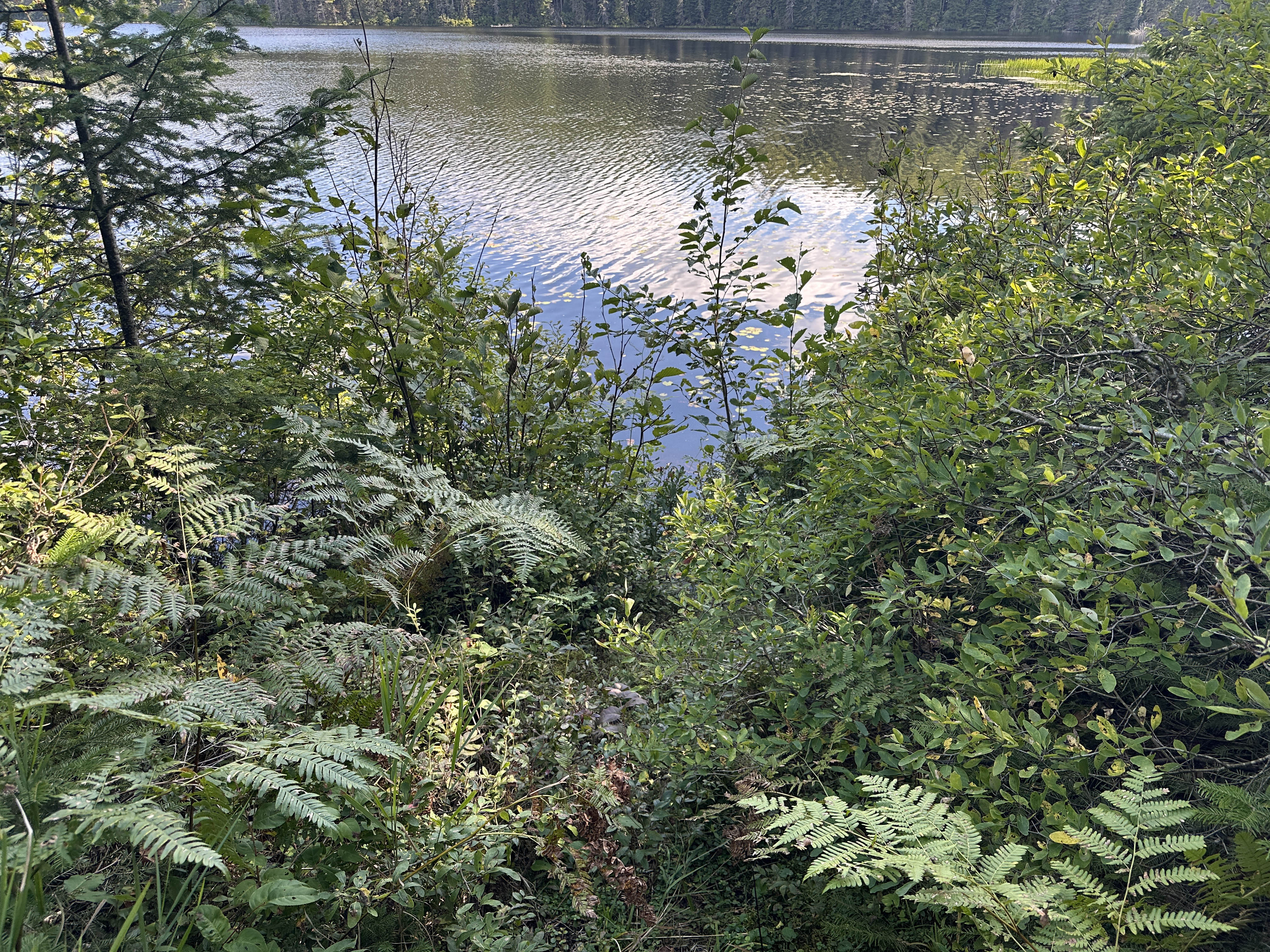 Mole Lake – Site 2 – Canoe Landing – All of Algonquin