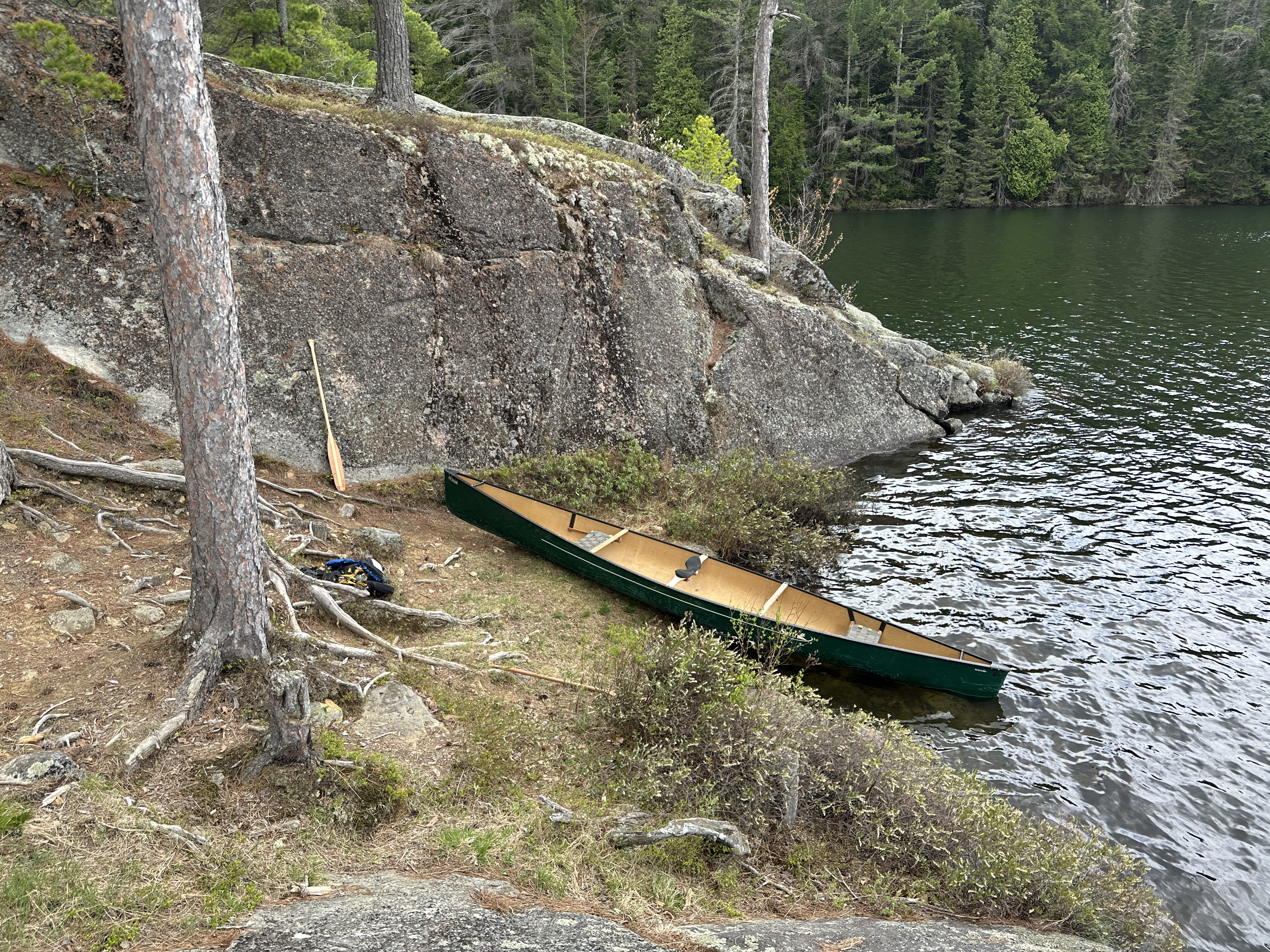 Robinson Lake – Site 2 – Canoe Landing – All of Algonquin
